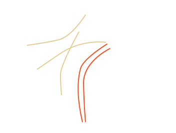 Quiromancia. O significado da vida por trás da leitura das mãos (6-7-4 ...