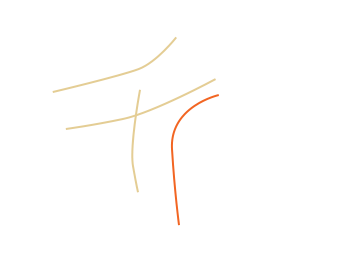 Quiromancia. O significado da vida por trás da leitura das mãos (1-3-1 ...