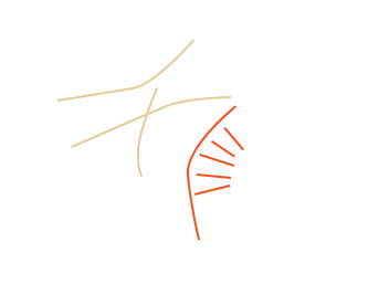 Quiromancia. O significado da vida por trás da leitura das mãos (3-7-5 ...